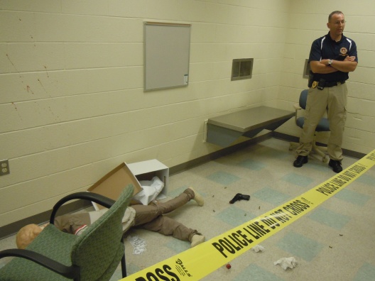 » Criminal Investigations